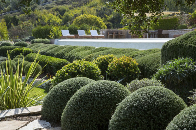 Rachel Weaving: The Author of “Gardens of Corfu” Guides Us Through the ...
