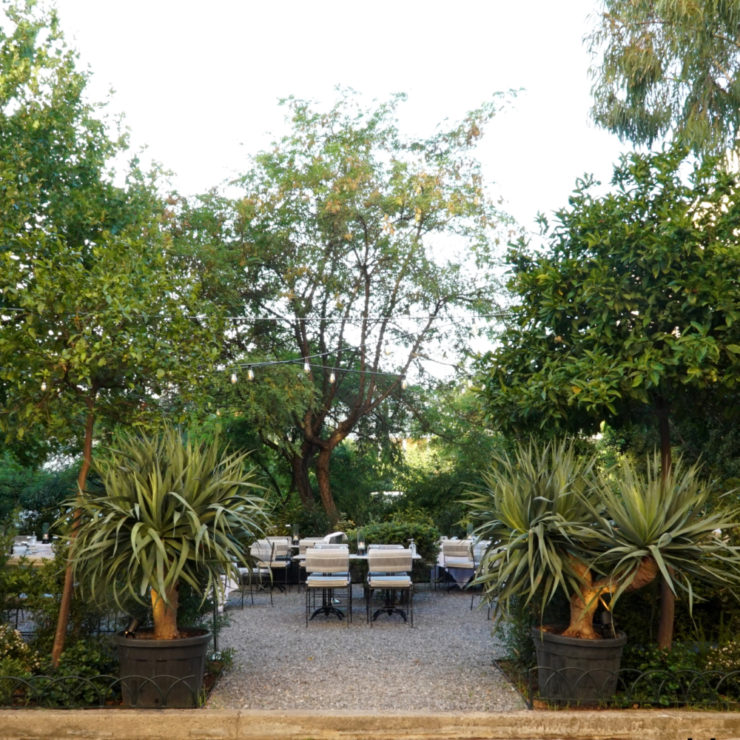 Finest Dining on a Winter Trip to Athens – Beyond Greek Salad